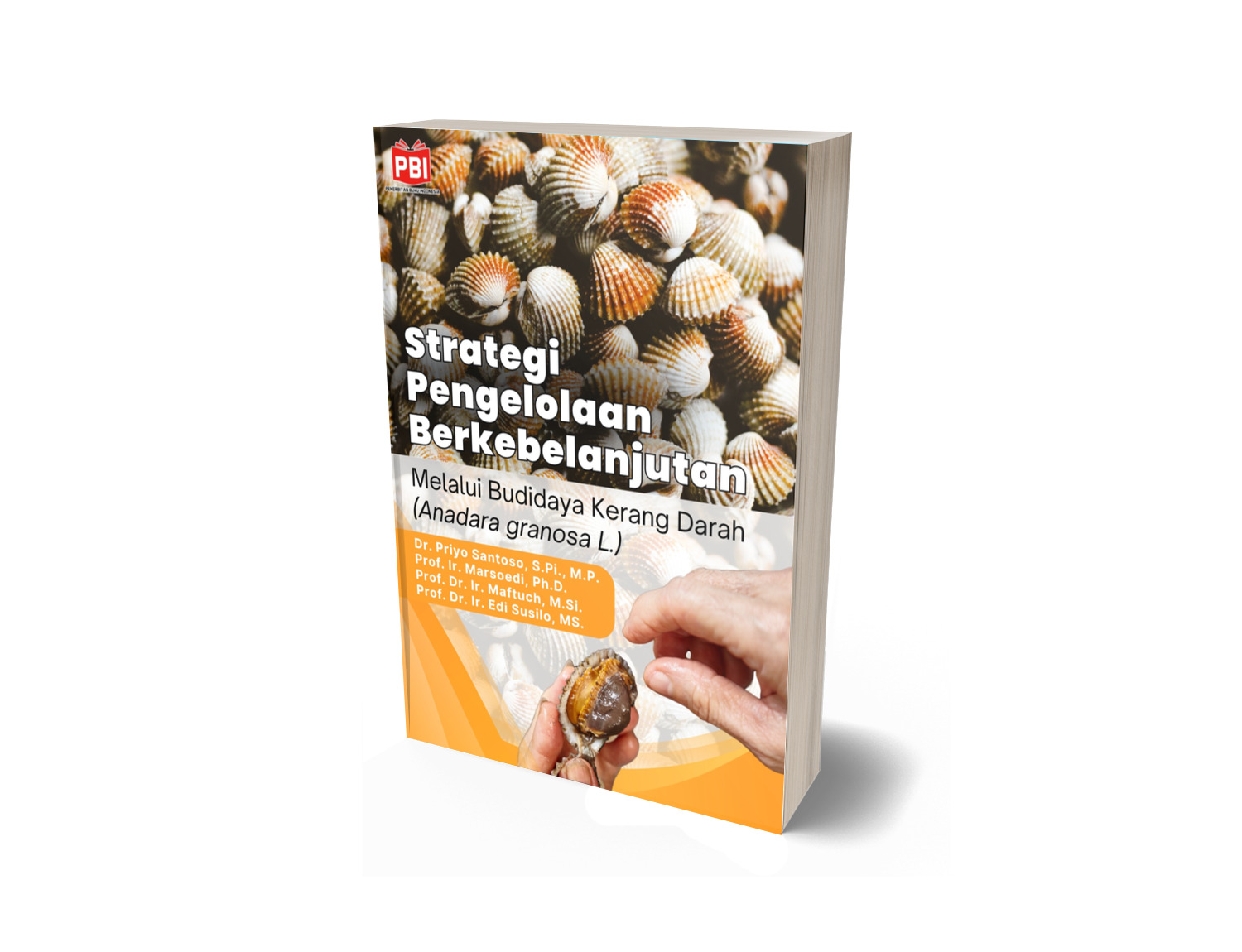 STRATEGI PENGELOLAAN BERKEBELANJUTAN MELALUI BUDIDAYA KERANG DARAH ...